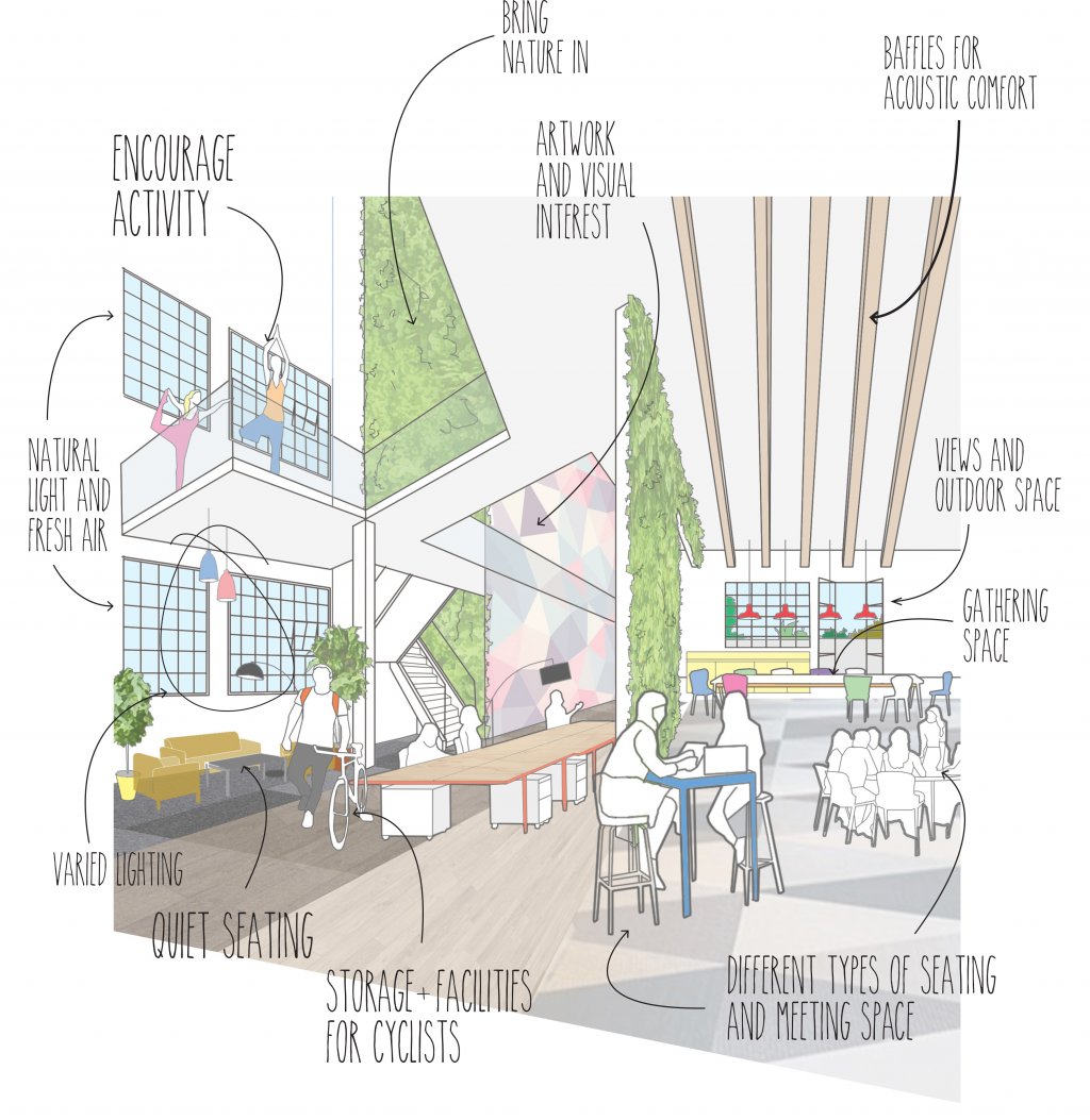 Wellness & wellbeing in design - DLG Architects