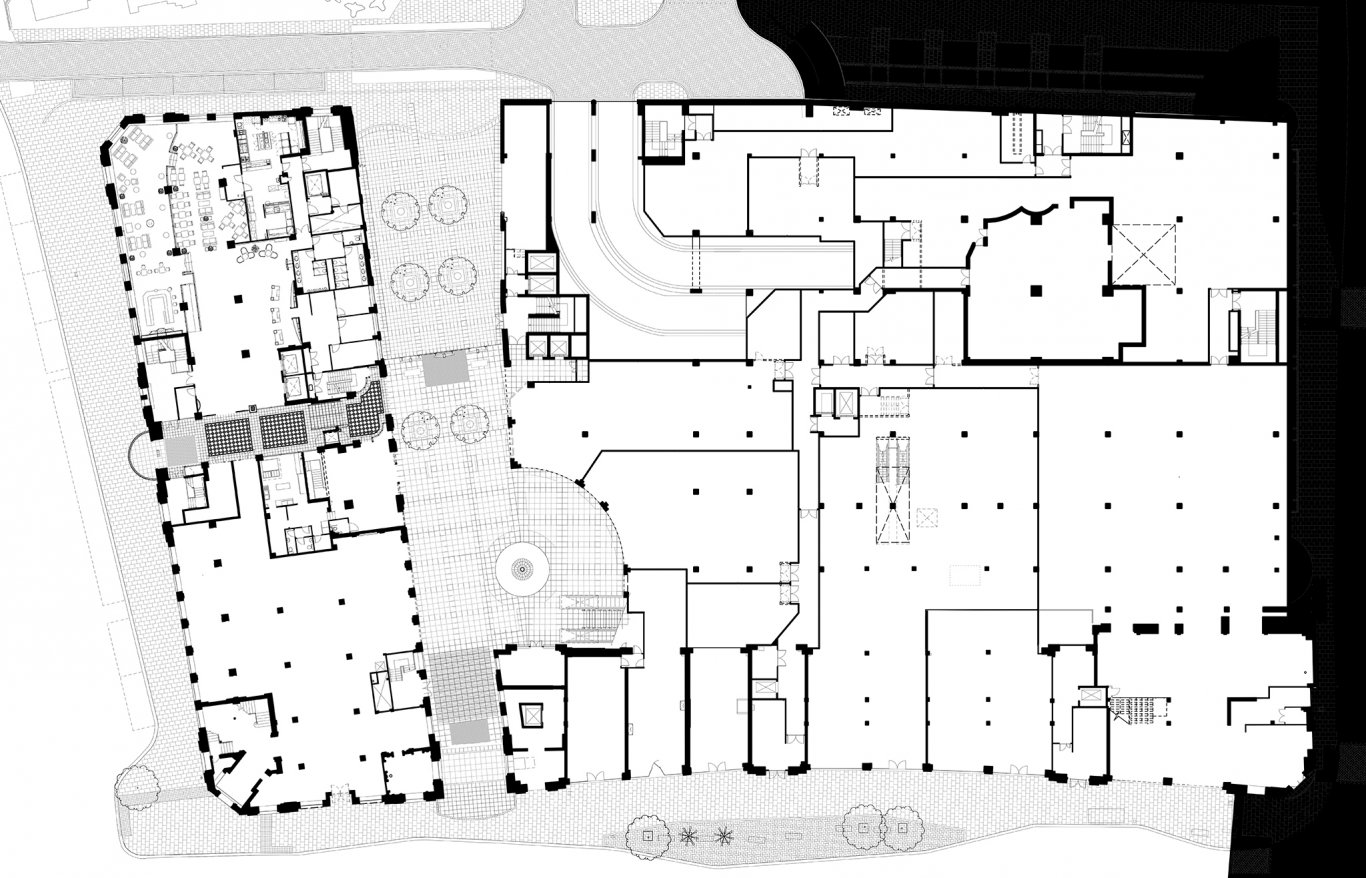 The Light - DLG Architects LLP